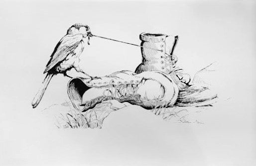 Canadian Jay Print by Bob Cary | Playful Wildlife Art | Dorothy Molter ...